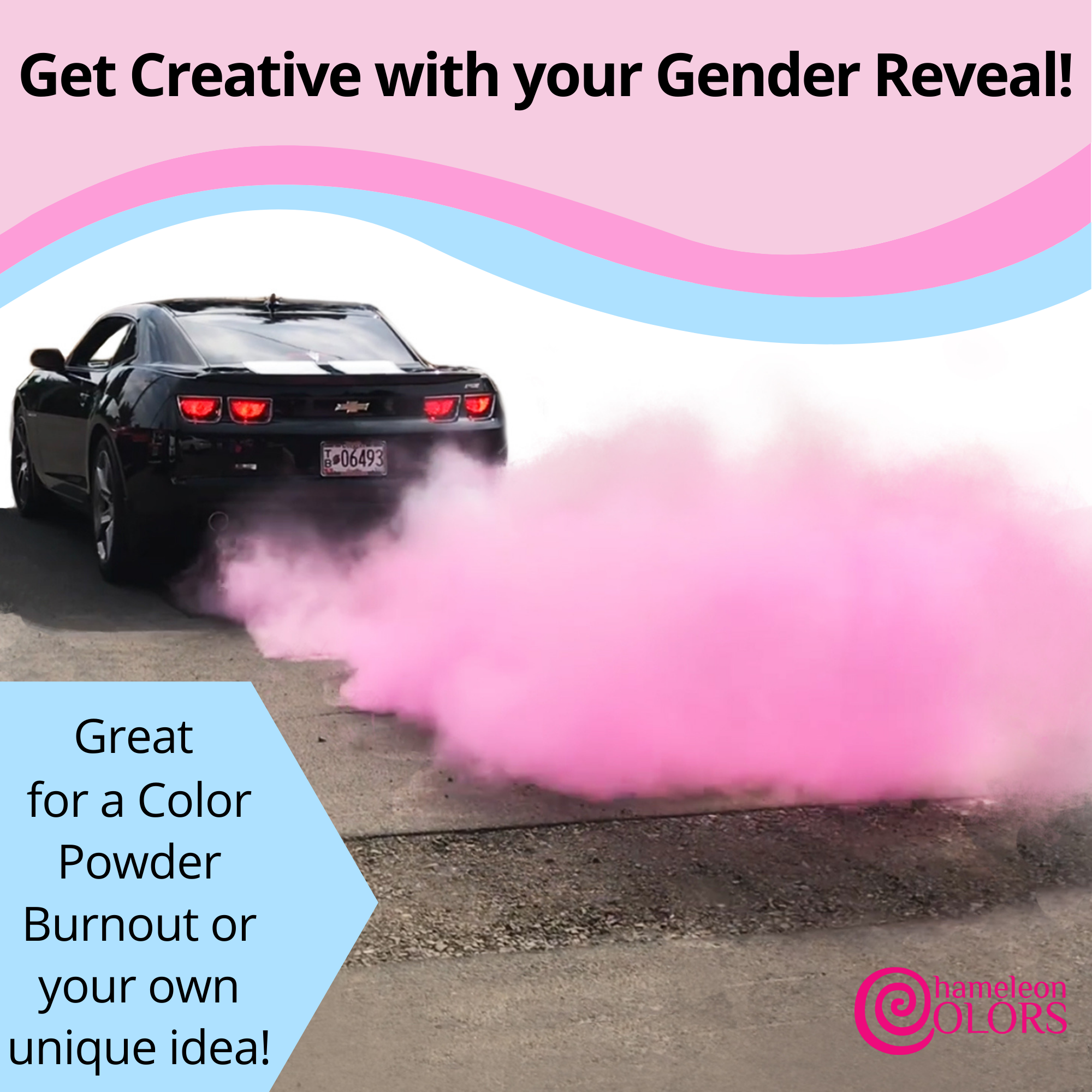 Gender Reveal Powder 5lb Kit – Pink or Blue | Chameleon Colors